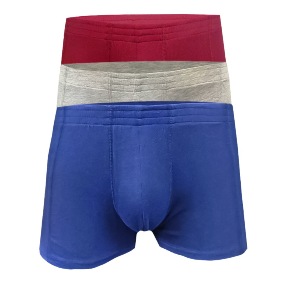 Basics Trunk 3-pack (Assorted Colors) – Undergear